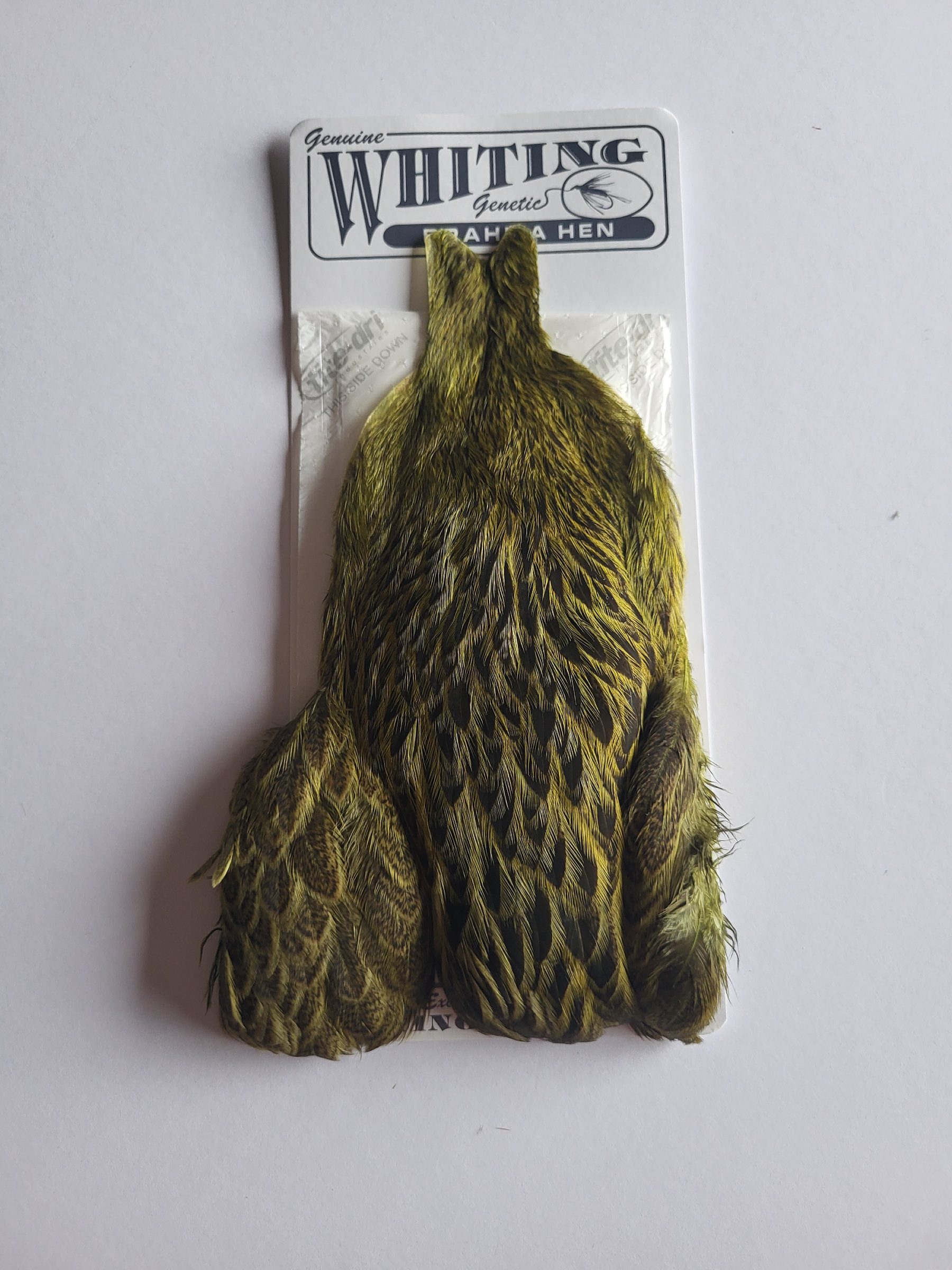 Whiting Brahma Hen Cape Badger Dyed Olive - Premier Angling