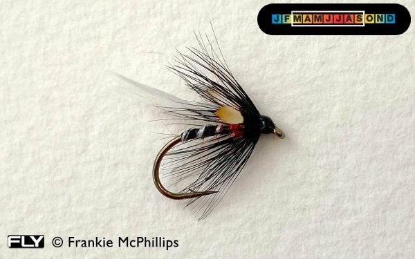 FLY Adult Duck Fly Wet (JC) - Premier Angling