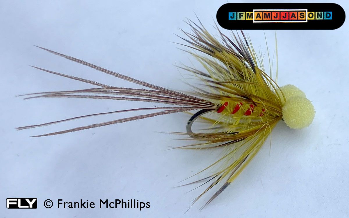 FLY Yellow French Partridge May Booby - Premier Angling