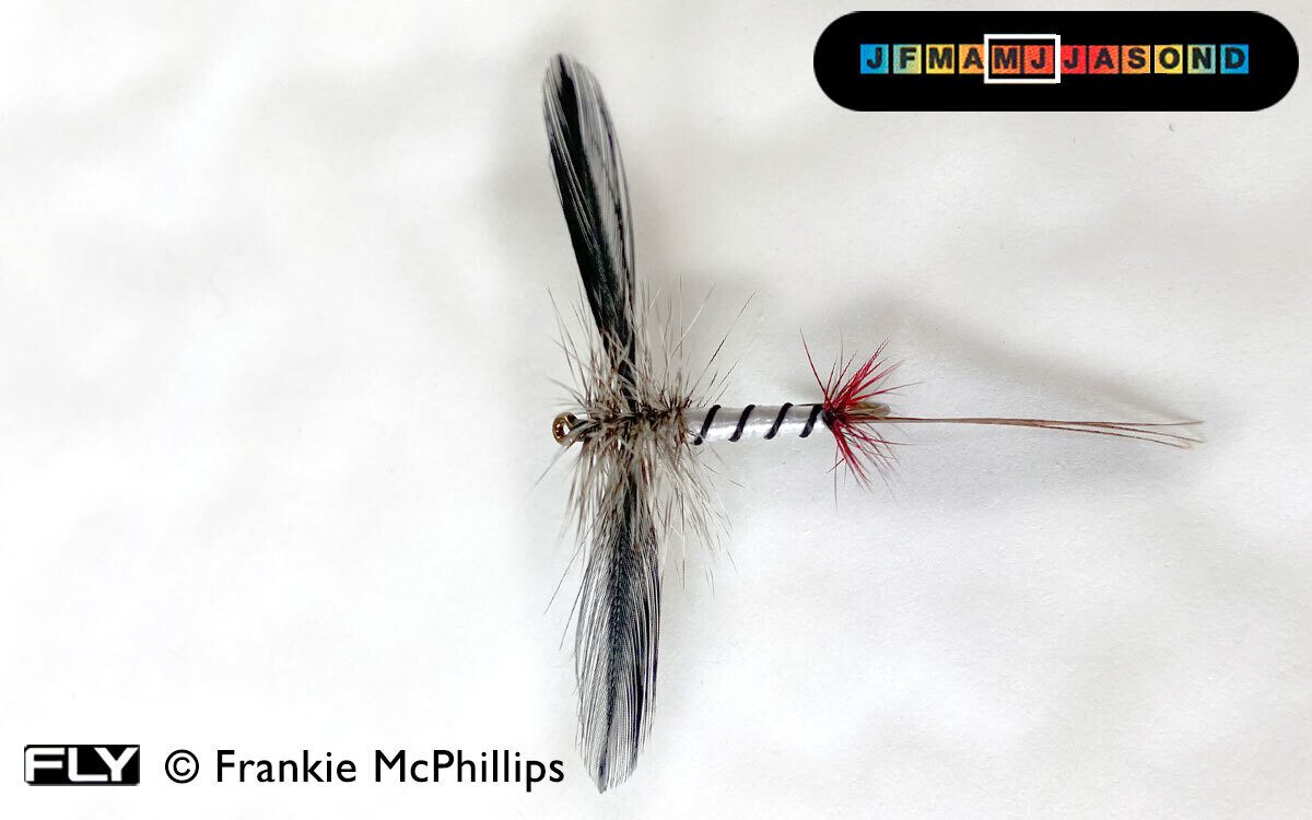 FLY Anderson's Spent (Red Butt) - Premier Angling