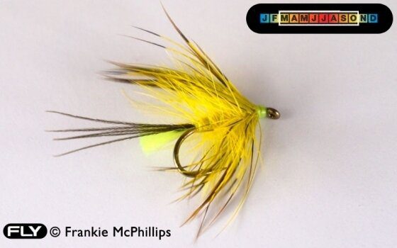 FLY Fluoro Tailed Yellow Partridge Mayfly - Premier Angling