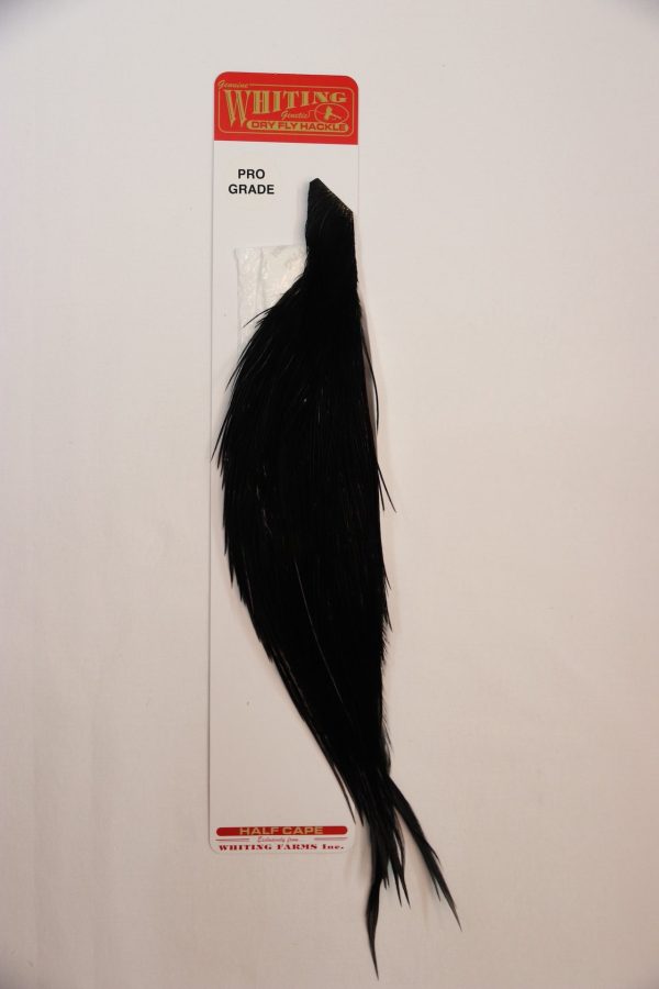 Whiting Pro Grade 1/2 Cape Black - Premier Angling