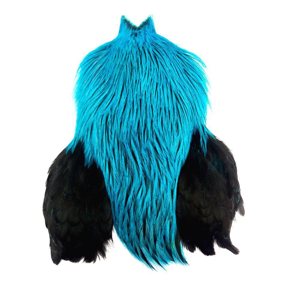 Whiting Brahma Rooster Cape in Silver Badger Dyed Silver Doctor Blue ...