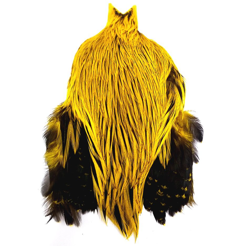Whiting Brahma Rooster Cape in Silver Badger Dyed Yellow - Premier Angling