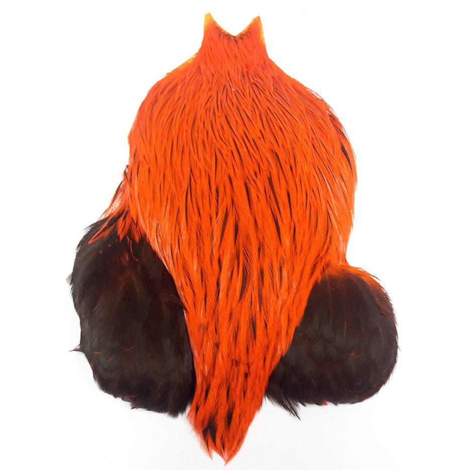 Whiting Brahma Rooster Cape in Silver Badger Dyed Orange - Premier Angling