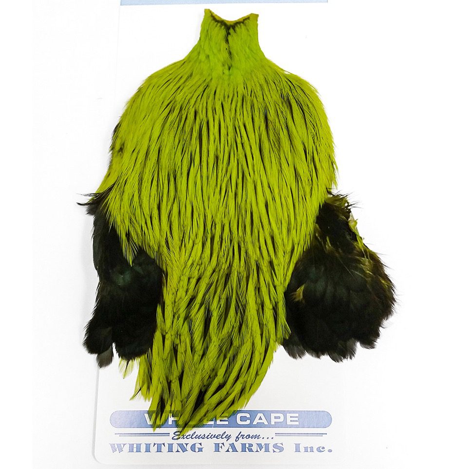 Whiting Brahma Rooster Cape in Silver Badger Dyed Chartreuse | Premier ...