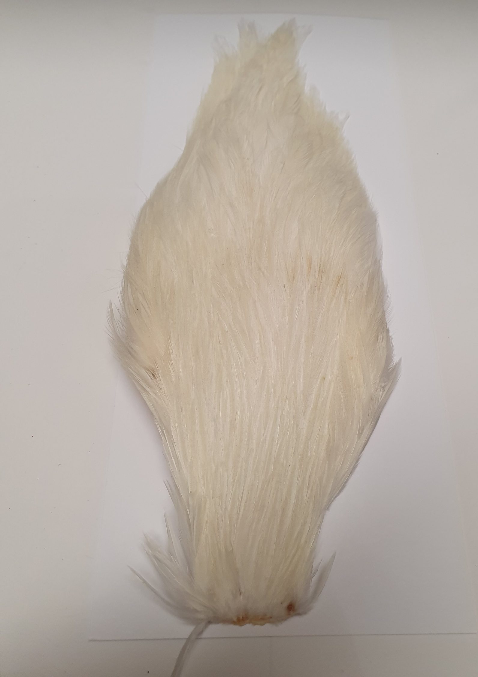 Chinese Rooster Necks - Premier Angling