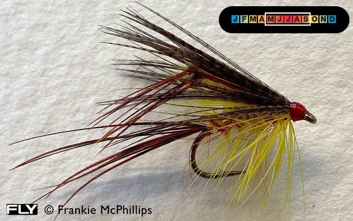 FLY International Hopper - Premier Angling