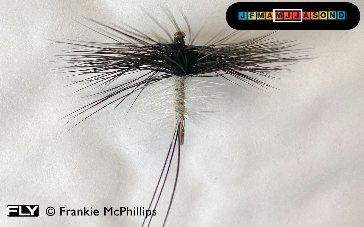 FLY Lough Derg Spent - Premier Angling