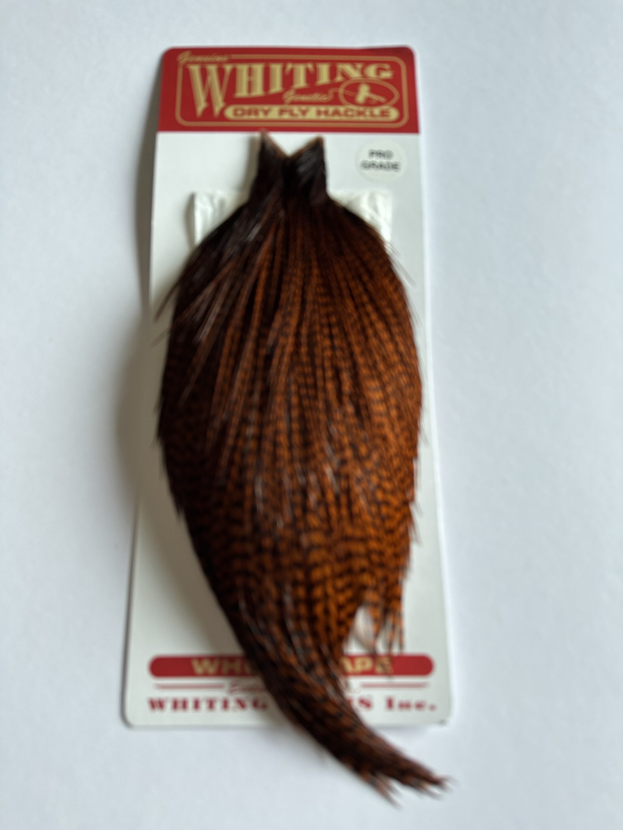 Whiting Pro Grade Cape Grizzly Dyed Coachman Brown - Premier Angling