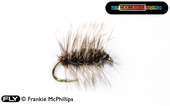 FLY Griffith's Gnat - Premier Angling